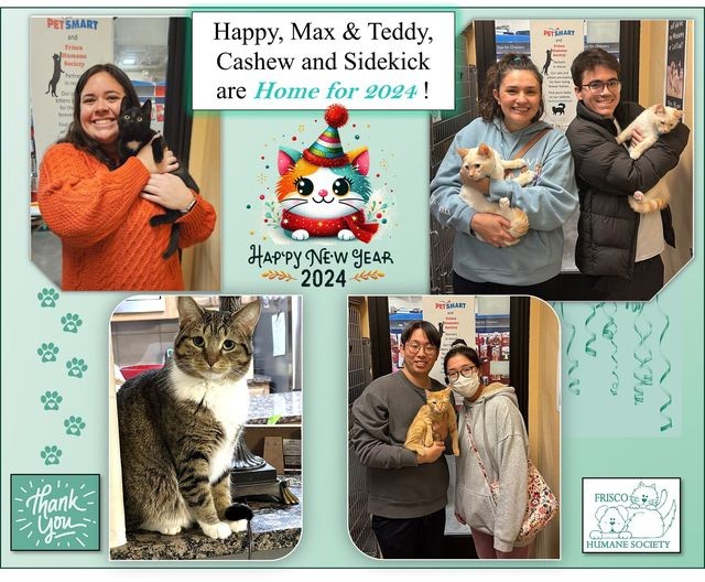 2024 Starts with Forever Homes for Happy, Max, Teddy, Cashew, and ...